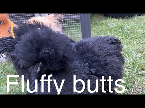 Saturday November 2nd 2024 - YouTube