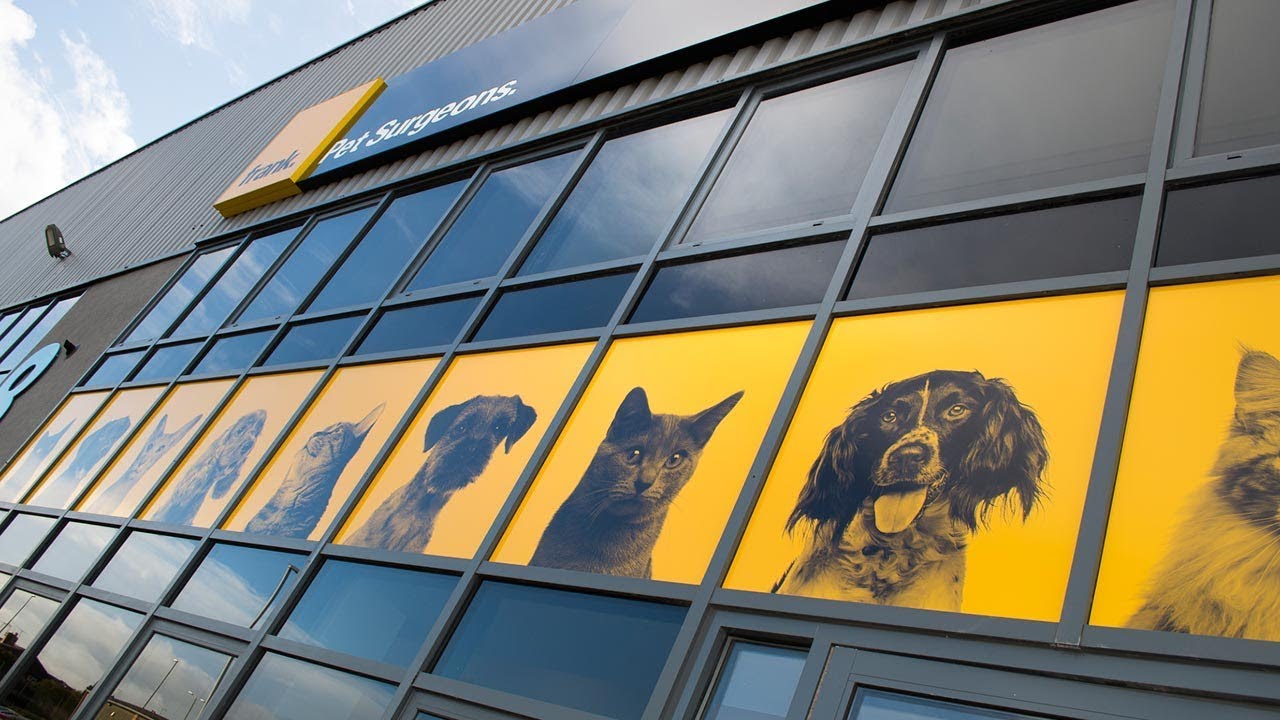 Practice Profile: Frank Pet Surgeons - YouTube