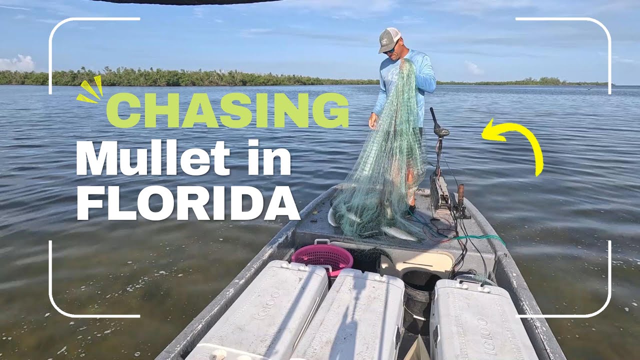 Mullet MADNESS ! - YouTube