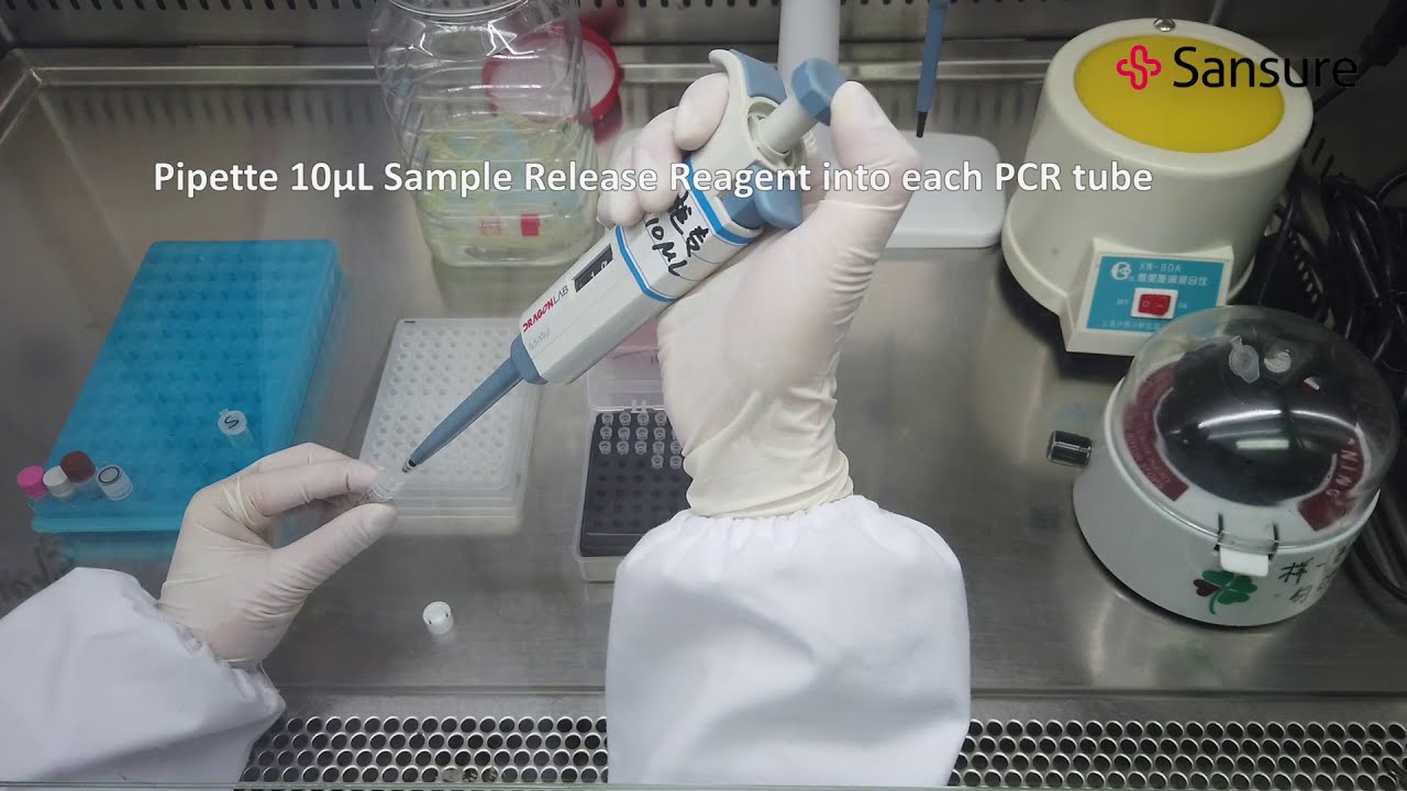 Sansure COVID-19 Nucleic Acid Diagnostic Kit One-tube Extraction ...