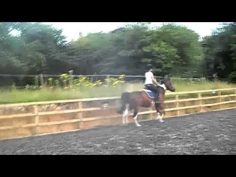 Riding the "dangerous" and "unbroken" horse.. - YouTube