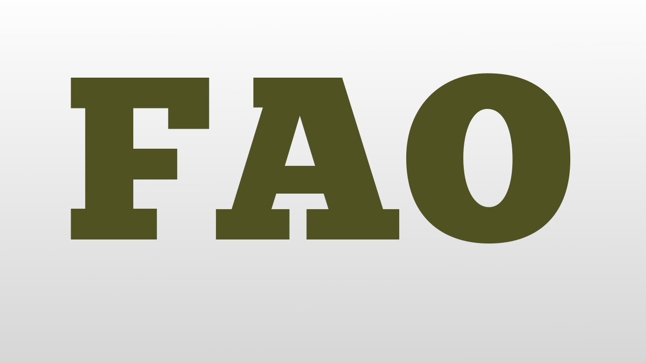 FAO meaning and pronunciation - YouTube
