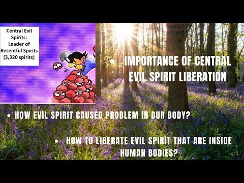 What is Collateral Liberation | Liberation of Central Evil Spirit # ...