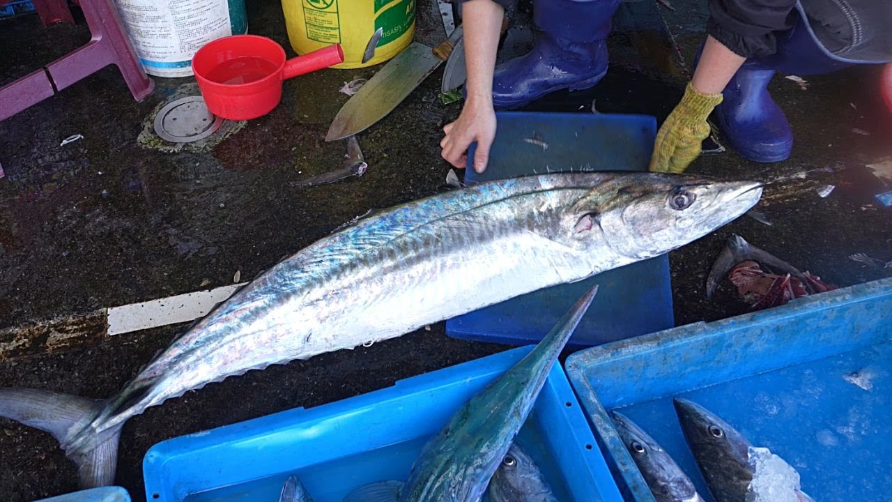 Taiwan Traditional Fish Market - Fish Cutting Show - Spotted Spanish ...