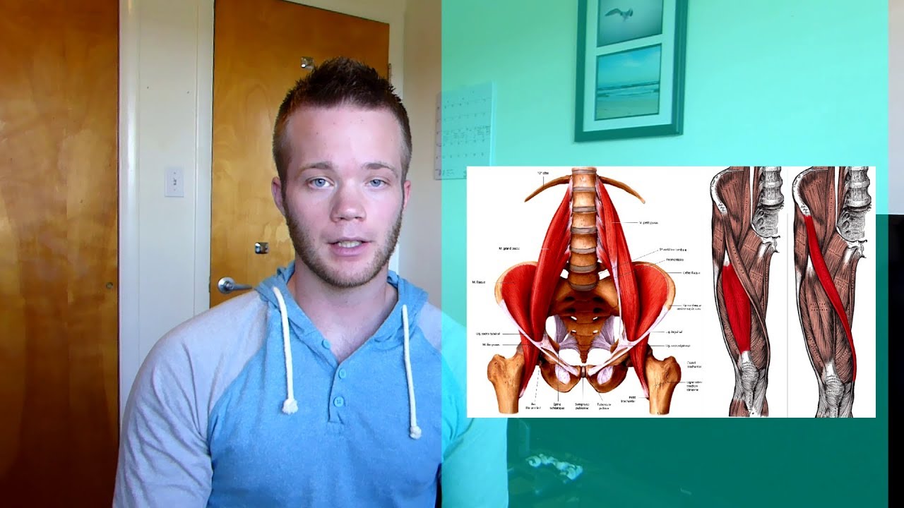 How to instantly increase your vertical with hip flexor stretching ...