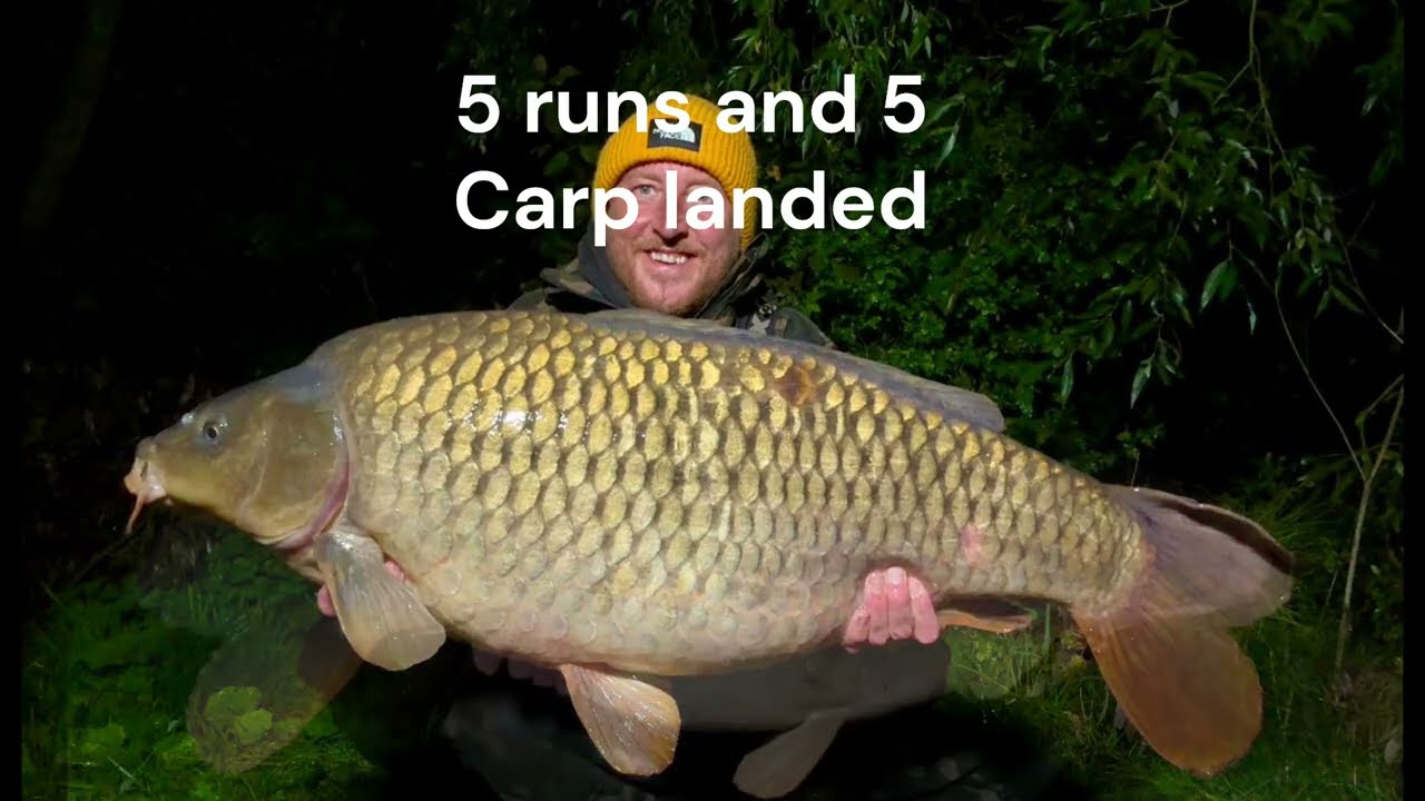 Zebedee Carp Fishing Rig First UK 40lb Carp YouTube Zebedee Carp Fishing Rig First UK 40lb Carp YouTube