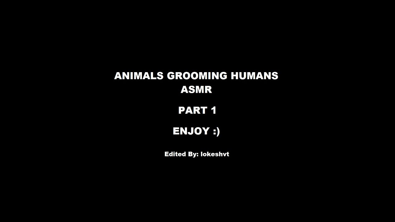 Animals Grooming Humans ASMR Compilation Part 1 - YouTube
