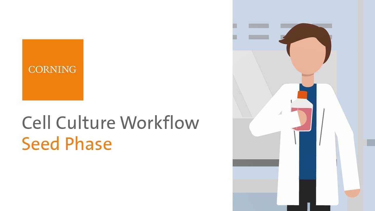 How to Create an Ideal Environment for Growing Cells: Seed Phase - YouTube