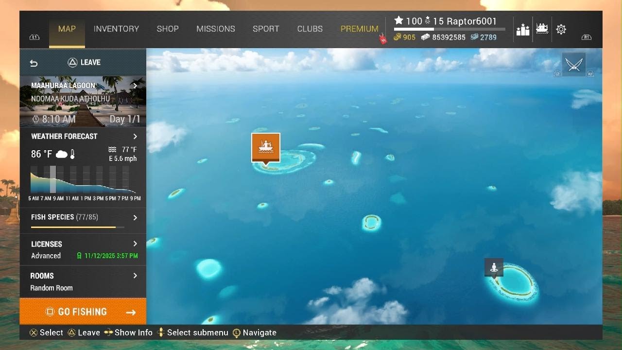 Maldives Unique Ruby Snapper - YouTube