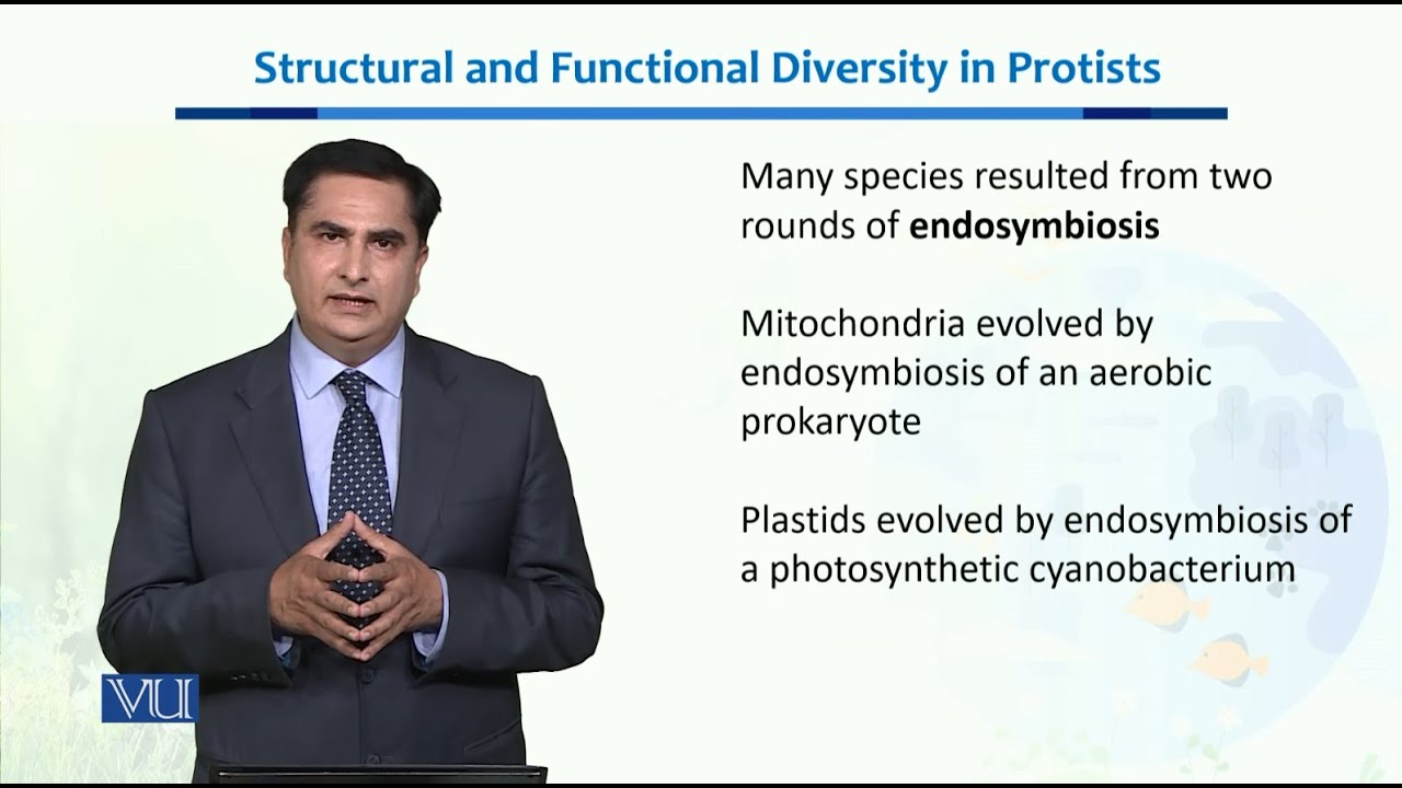 Structural & Functional Diversity in Protists | Ecology Biodiversity ...