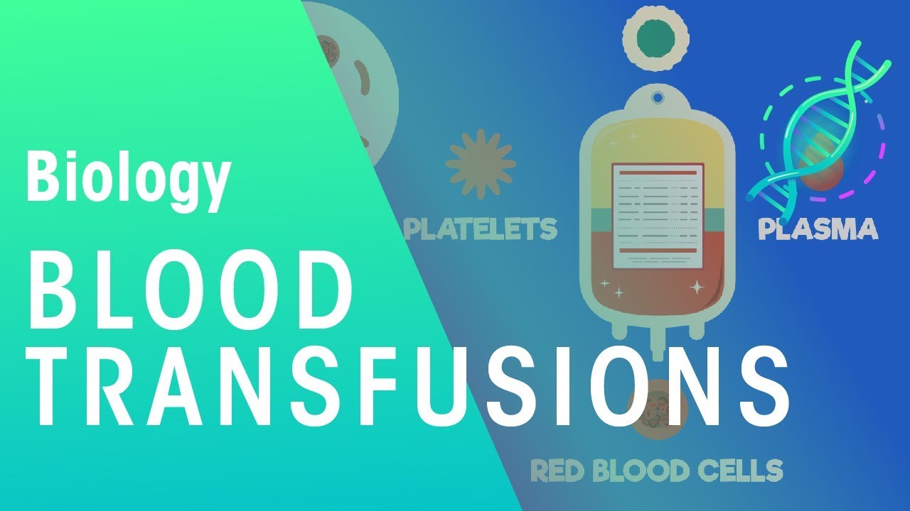 Blood transfusion | Health | Biology | FuseSchool - YouTube