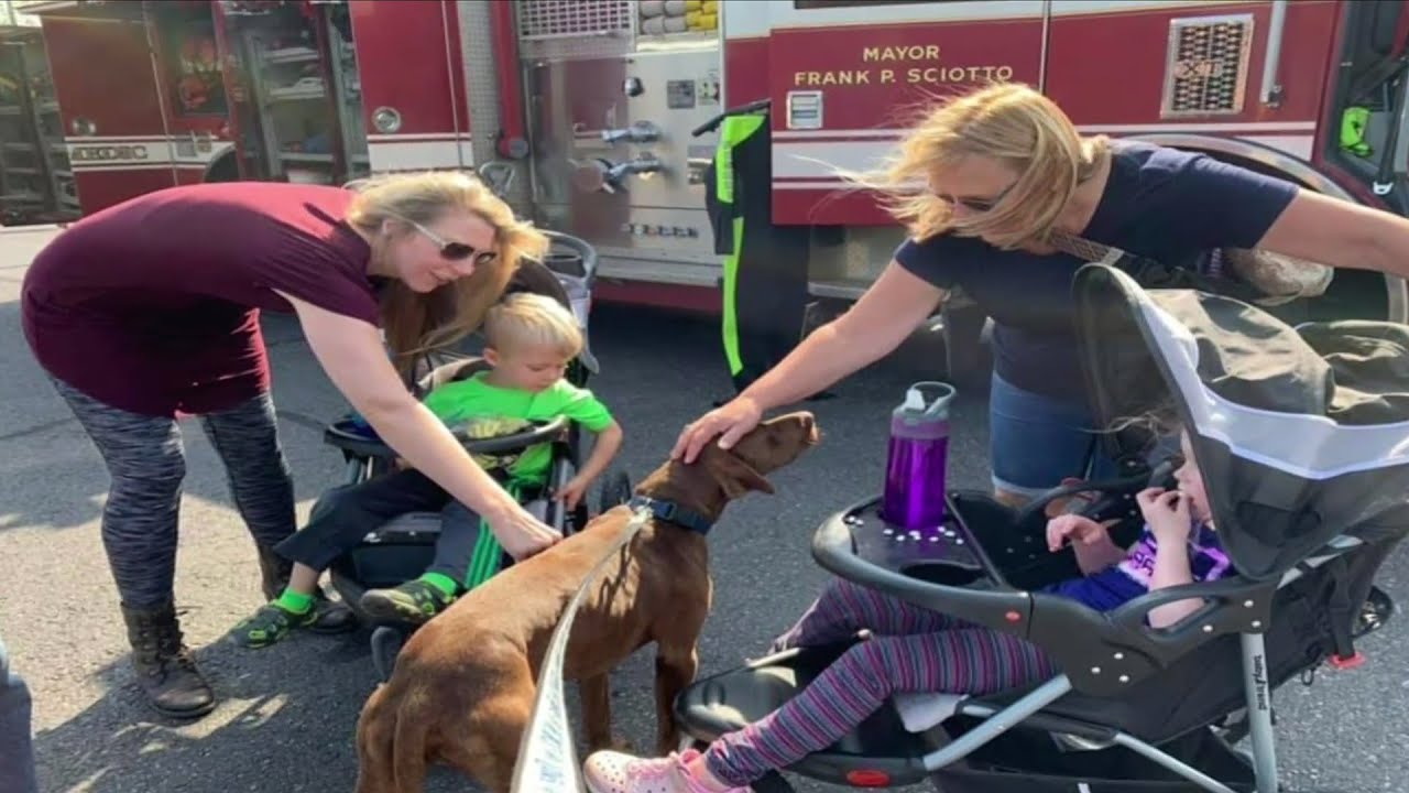 Coast Guard Rescue Dogs - YouTube