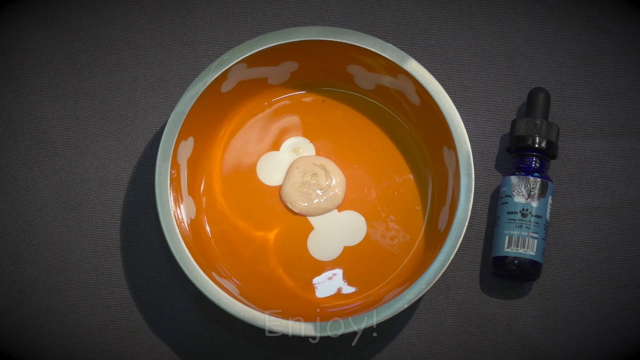 How to Give Cats CBD Oil in Food - Earth Buddy - YouTube