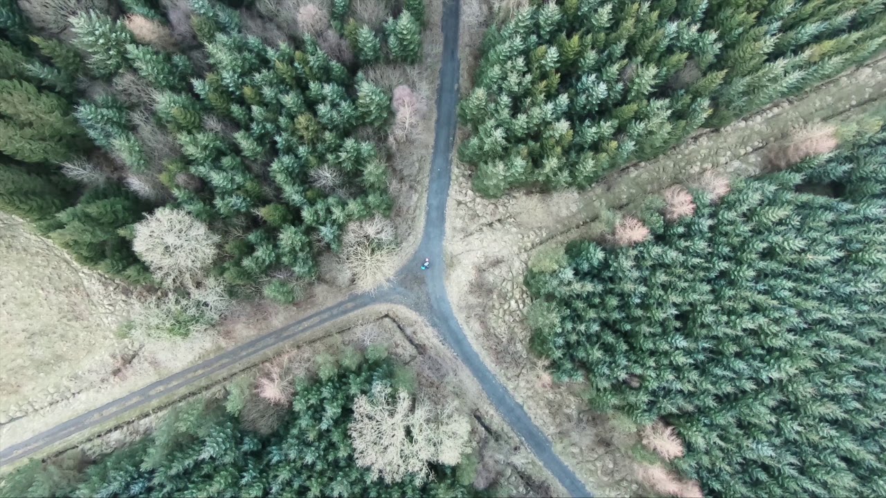 Randalstown Forest - Game Of Thrones, Season 8, Episode 6, finale set ...