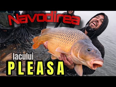 🔴 CÂȚI CRAPI DE PESTE 20+ au iesit din Pleasa❓❓