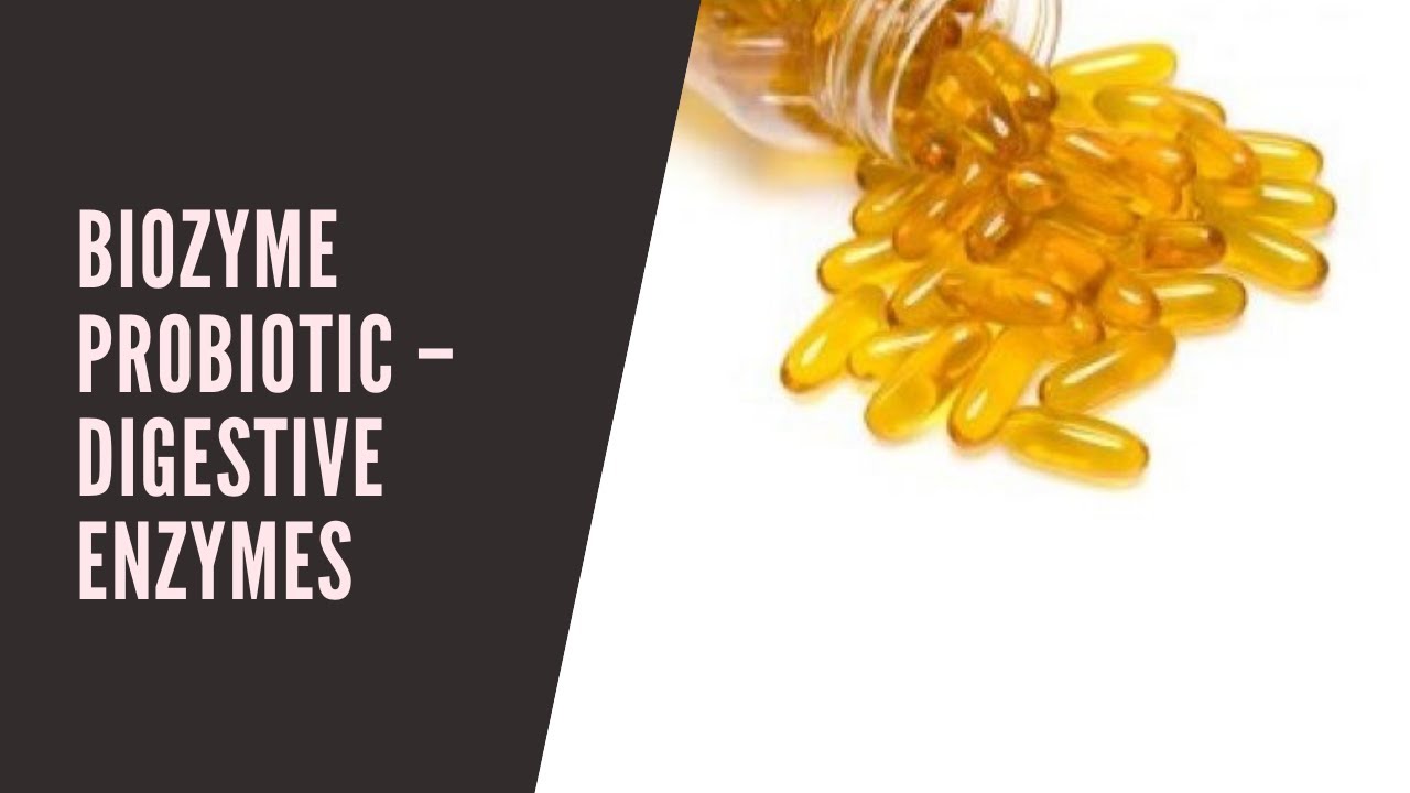 Biozyme Probiotic – Digestive Enzymes - YouTube