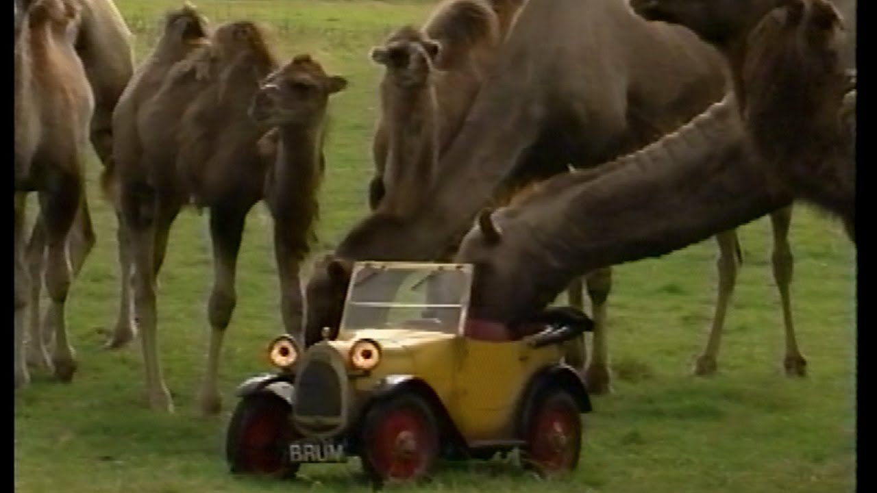 Brum - 01x12: Brum on Safari (1991) - YouTube
