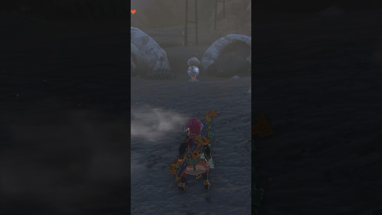 Totk Why Tulin!! WHY!! #tearsofthekingdom - YouTube