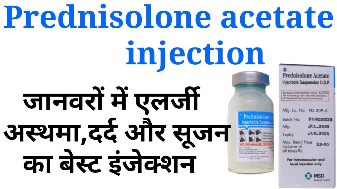Prednisolone acetate injection for vet in hindi/janwaro me allergy ...