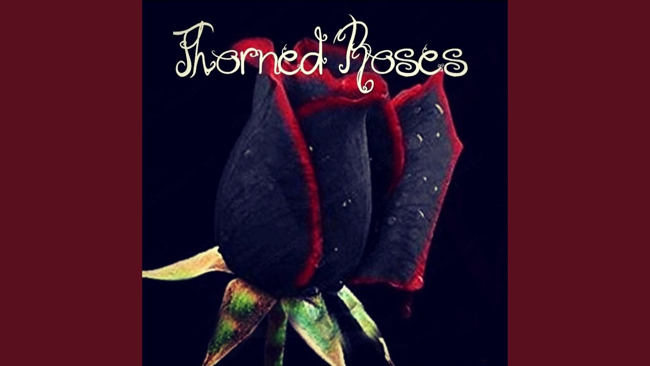 Thorned Roses - YouTube