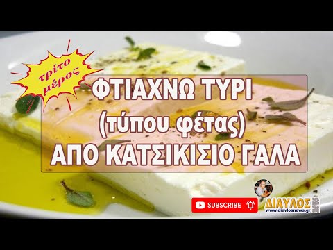 ΦΤΙΑΧΝΩ ΤΥΡΙ (τυπου φετας) ΑΠΟ ΚΑΤΣΙΚΙΣΙΟ ΓΑΛΑ ΜΕΡΟΣ 3ο - YouTube