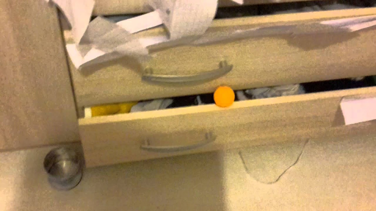 Circuit ping pong - YouTube