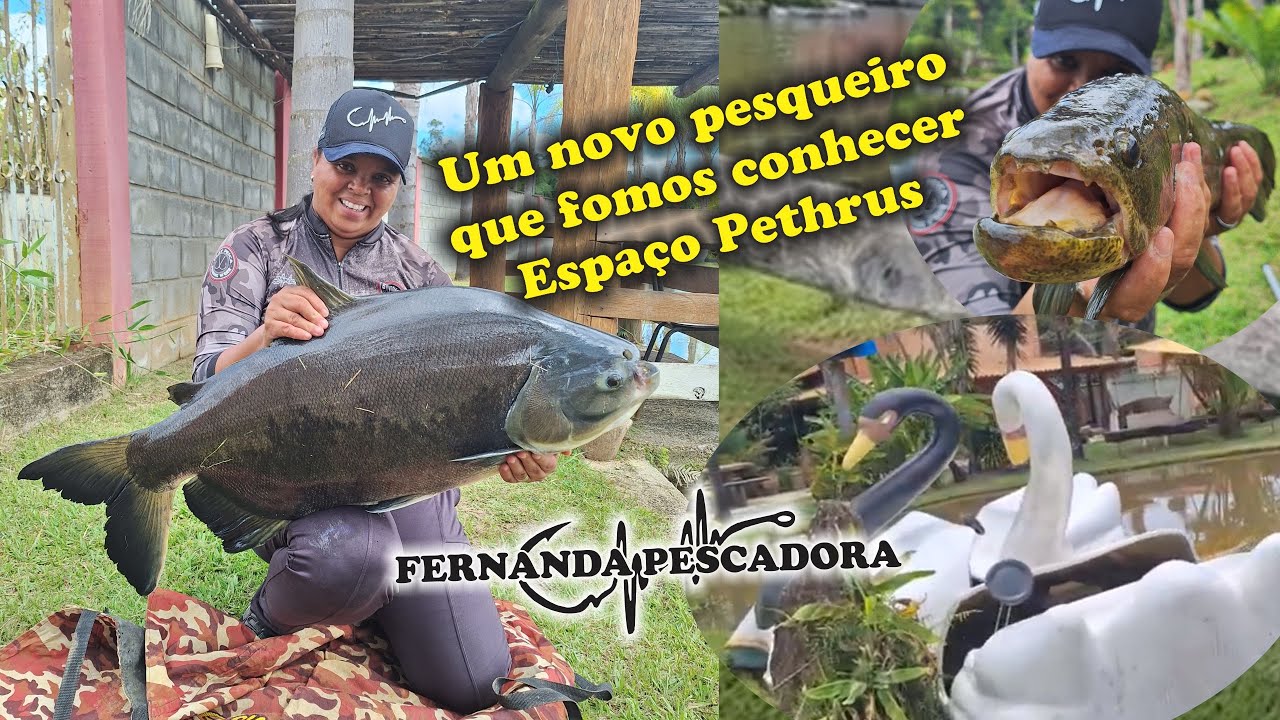 Conhecendo o Espaço Pethrus Pesque e Pague em Mateus Leme - MG - YouTube