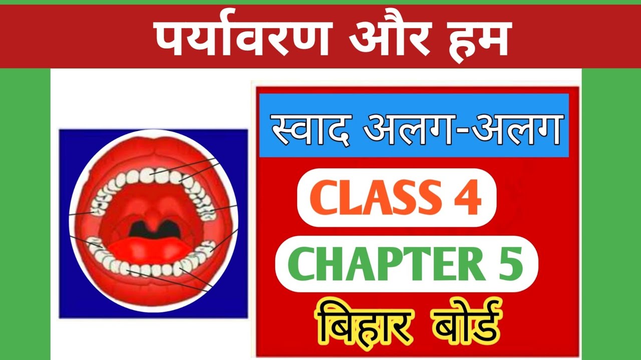 swad alag alag class 4 paryavaran aur ham | class 4 science chapter 5 ...