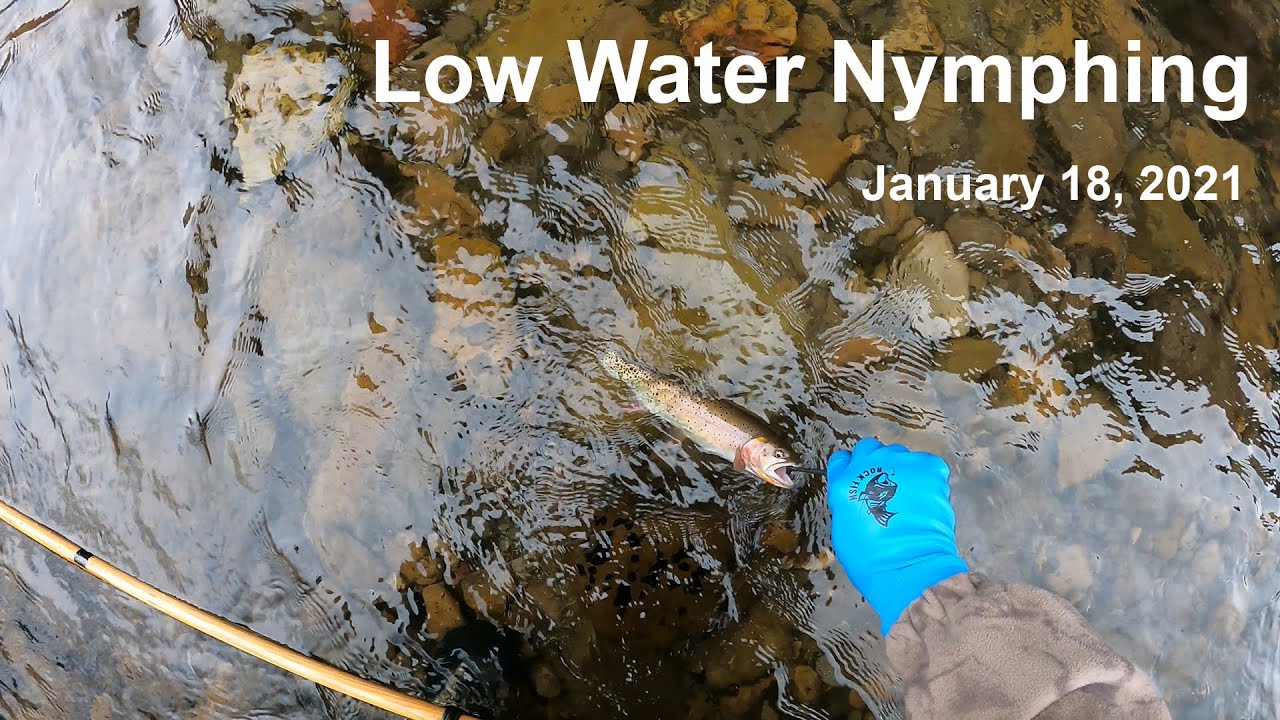 210. Low Water Nymphing - January 18, 2021 - YouTube