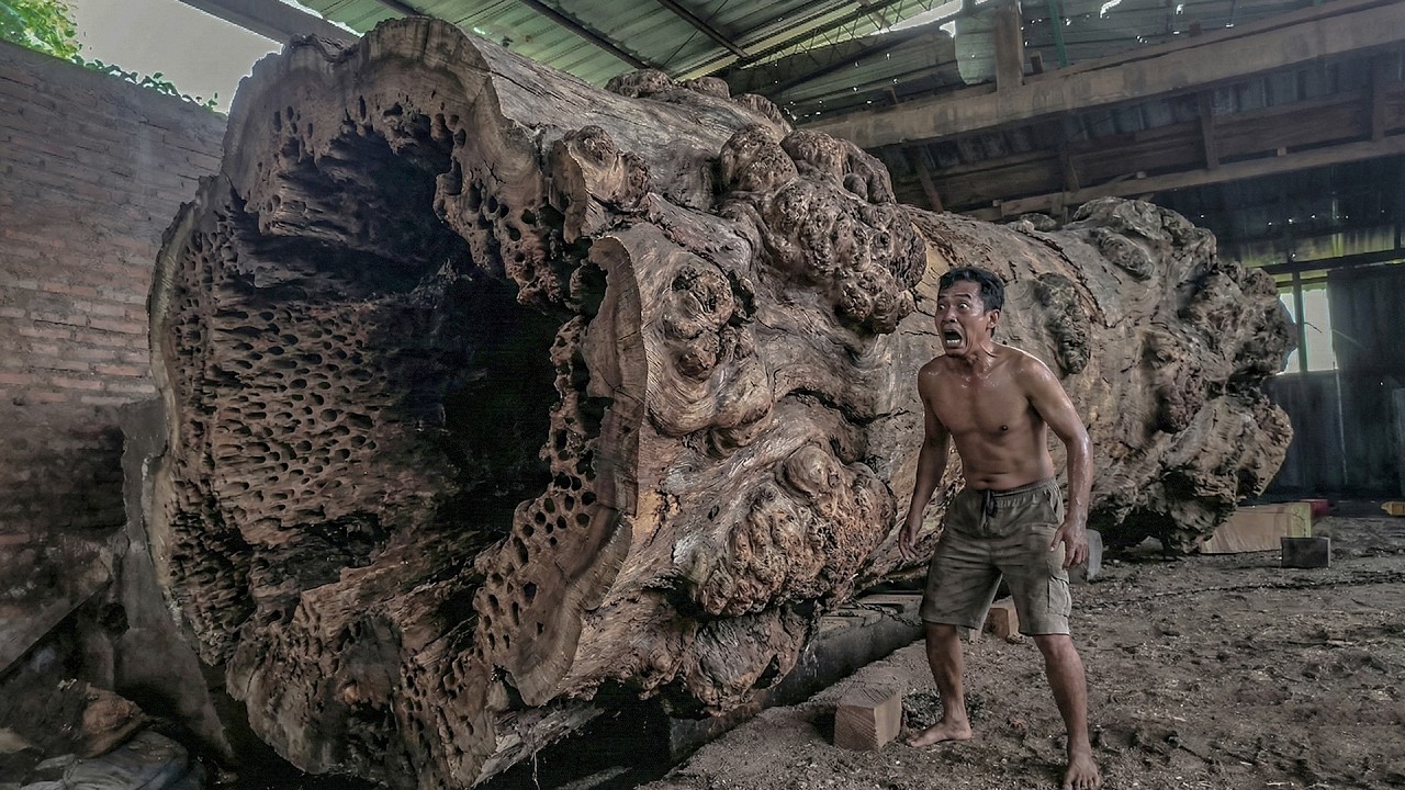FULL HORROR MODE! The World’s Largest Sawmill Hit by Brutal Log Impact ...