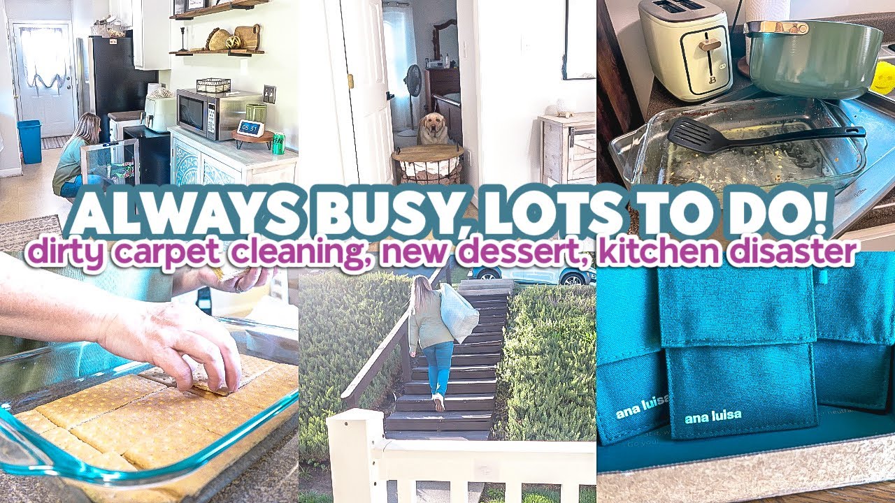 BUSY BUSY BUSY! Trying a new recipe, cleaning carpets & ANA LUISA ...
