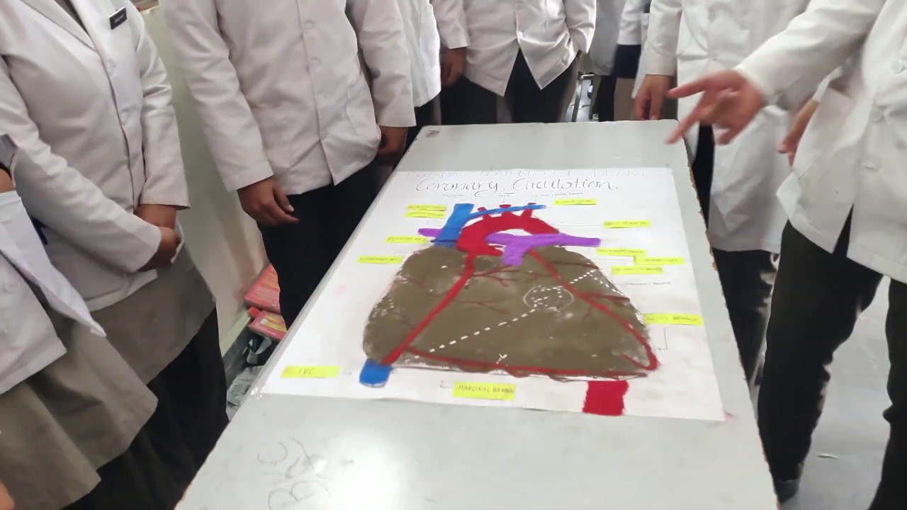 Learning of anatomy by Rangoli in GMC HALDWANI NAINITAL - YouTube