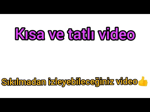 Sizi eğlendirecek kısa hayvan videoları