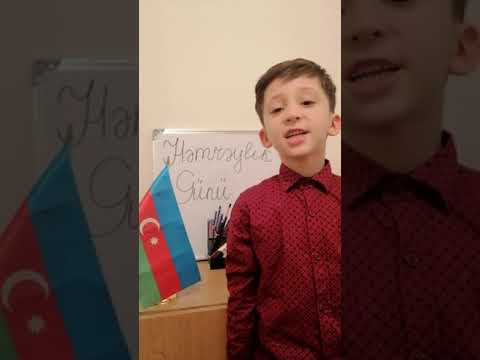 Əliyev Əli - Həmrəylik günü şeiri
