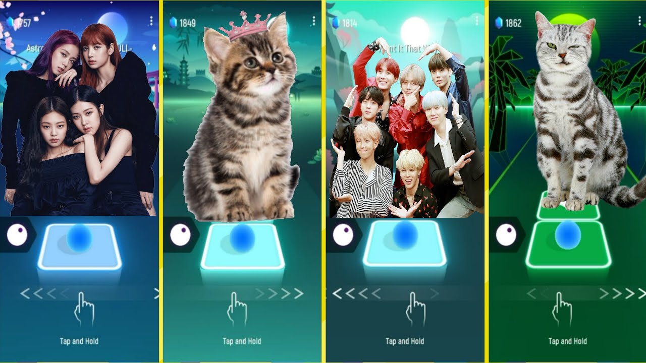 Cute Cat Shut Down ☀️ BLACKPINK Shut Down ☀️ Cute Cat MIC Drop ☀️ BTS ...