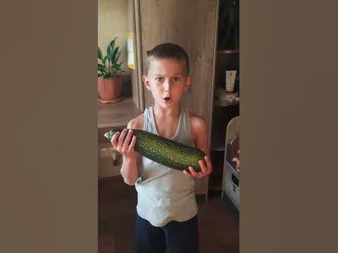 Самый большой огурец в мире😃 - YouTube