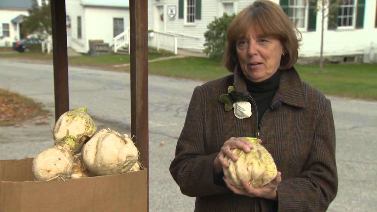 10/24/15 Turnip Festival Preview PKG - YouTube