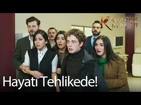Aysun ölecek mi?- Kanatsız Kuşlar🕊🕊