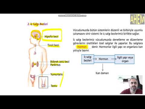 6  SINIF vücudumuzdaki sistemler ve sağlığı ünites HORMONAL SİSTEM VE ERGENLİK KONUSU BÖLÜM 1