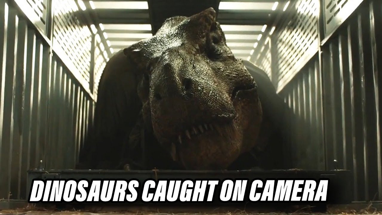 10 Dinosaurs Caught on Camera in Real Life - YouTube