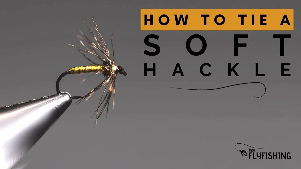 How To Tie a Soft Hackle (Step-By-Step Guide) - YouTube