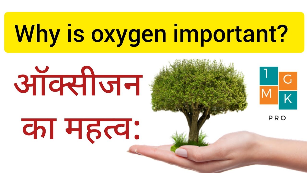 ऑक्सीजन का महत्व: Why is oxygen important? - YouTube