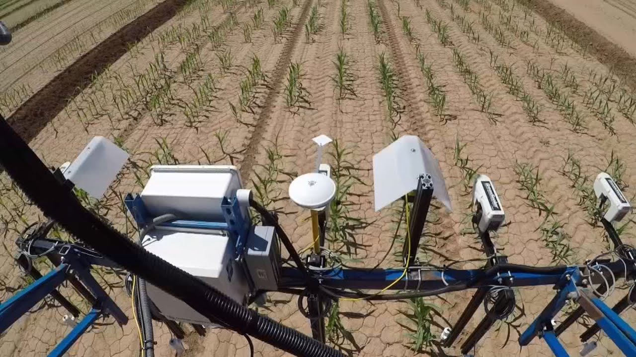 U of A's test farm in Maricopa tests cutting-edge technology - YouTube