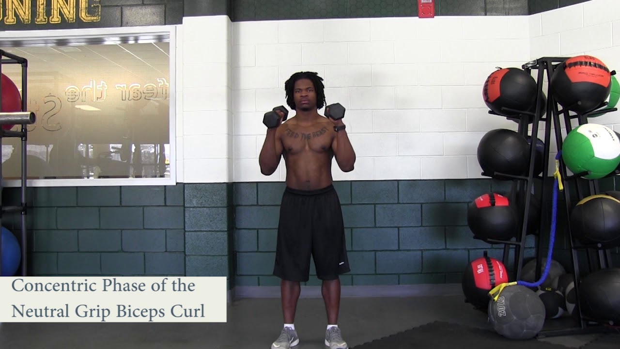 Concentric Phase of the Neutral Grip Bicep Curl - YouTube