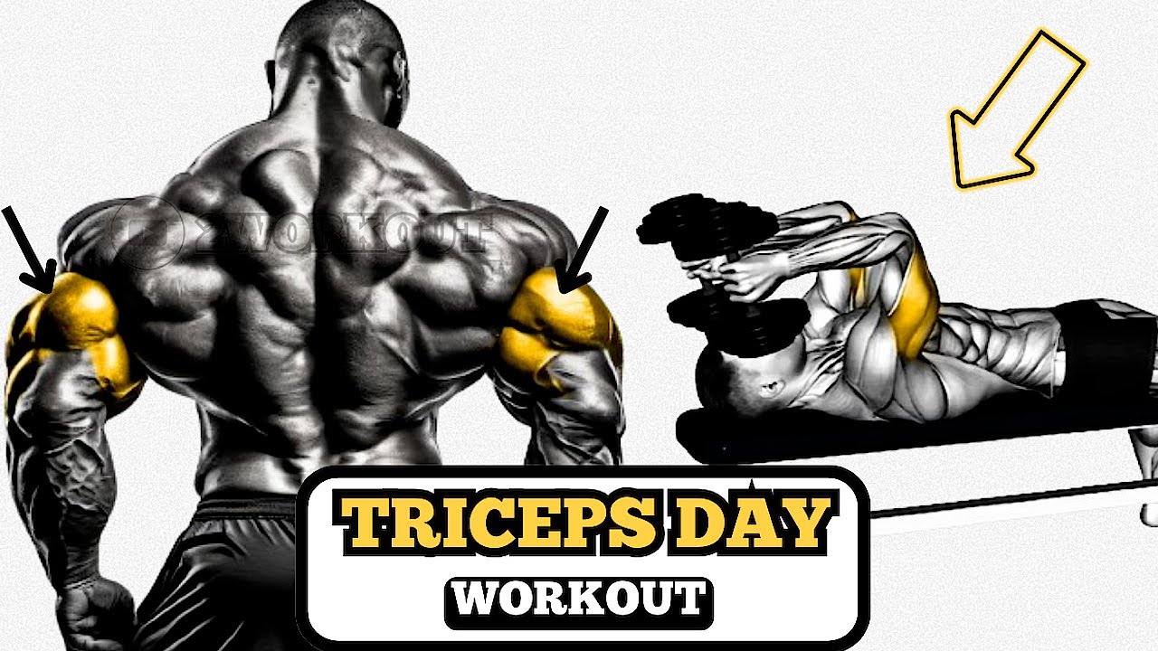 Week 12 Day 4 | Massive Triceps a Workout for Huge Arms! - 2WORKOUT ...