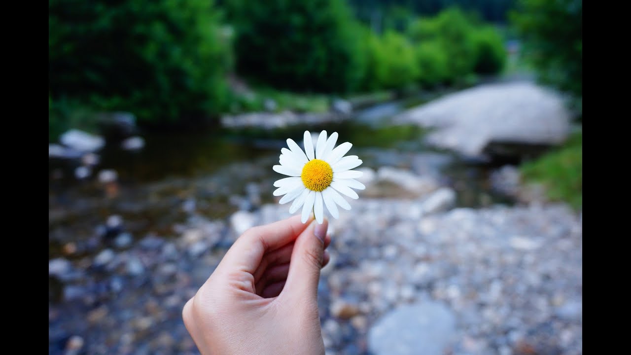 Sunday, June 2, 2024 – 10:30 a.m. – “Where the Divine and Human Meet ...