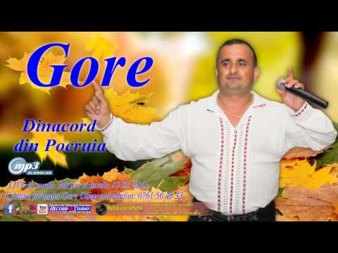 05 Gore si Dinacord din Pocruia LIVE (colaj SARBA) Nunta Adrian si Ionela 19-07-2014