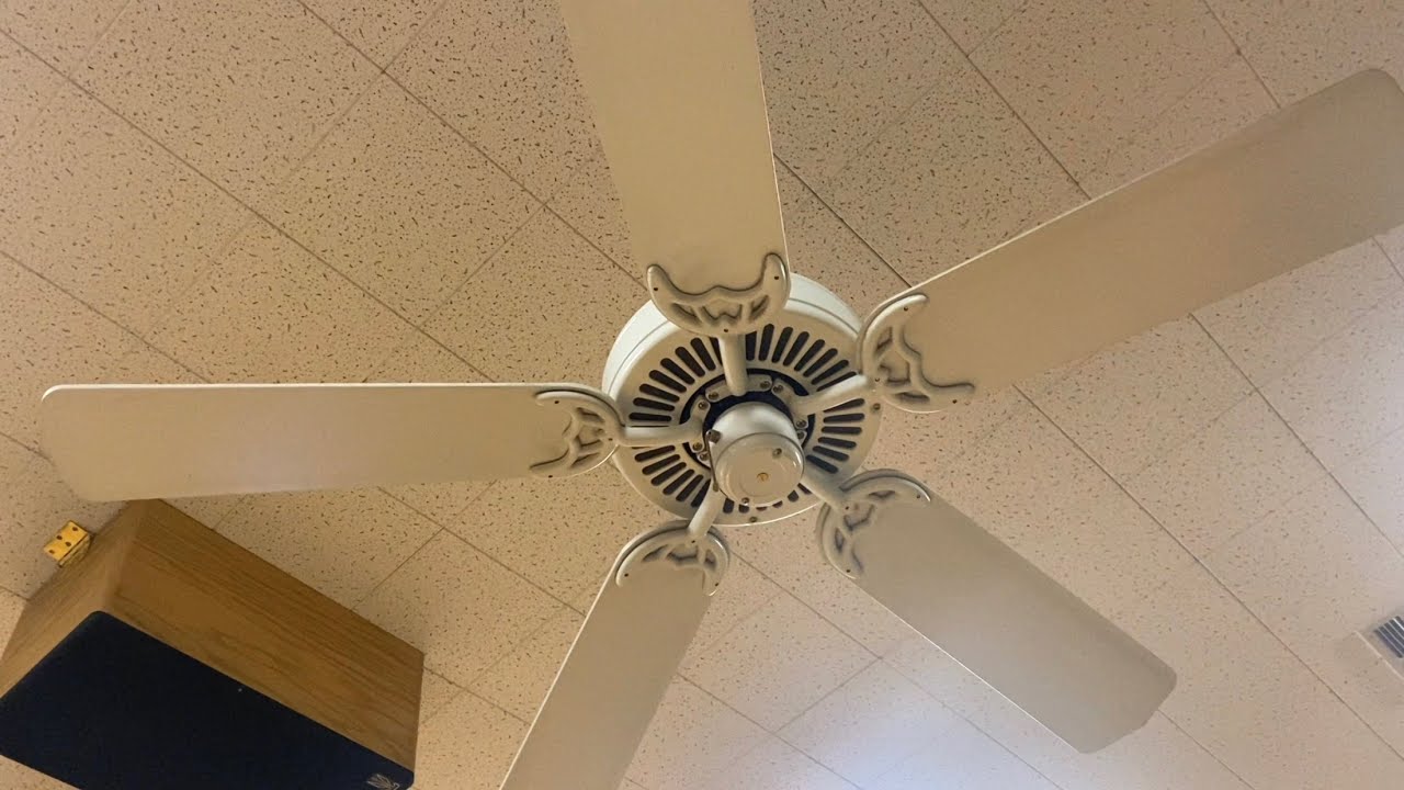 Ceiling Fans around the Red Mountain Resort (Archive from June 2022 ...