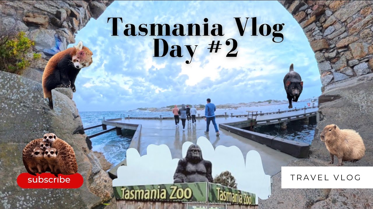 Tasmania Zoo | Launceston Amazing Experience Road Trip - YouTube