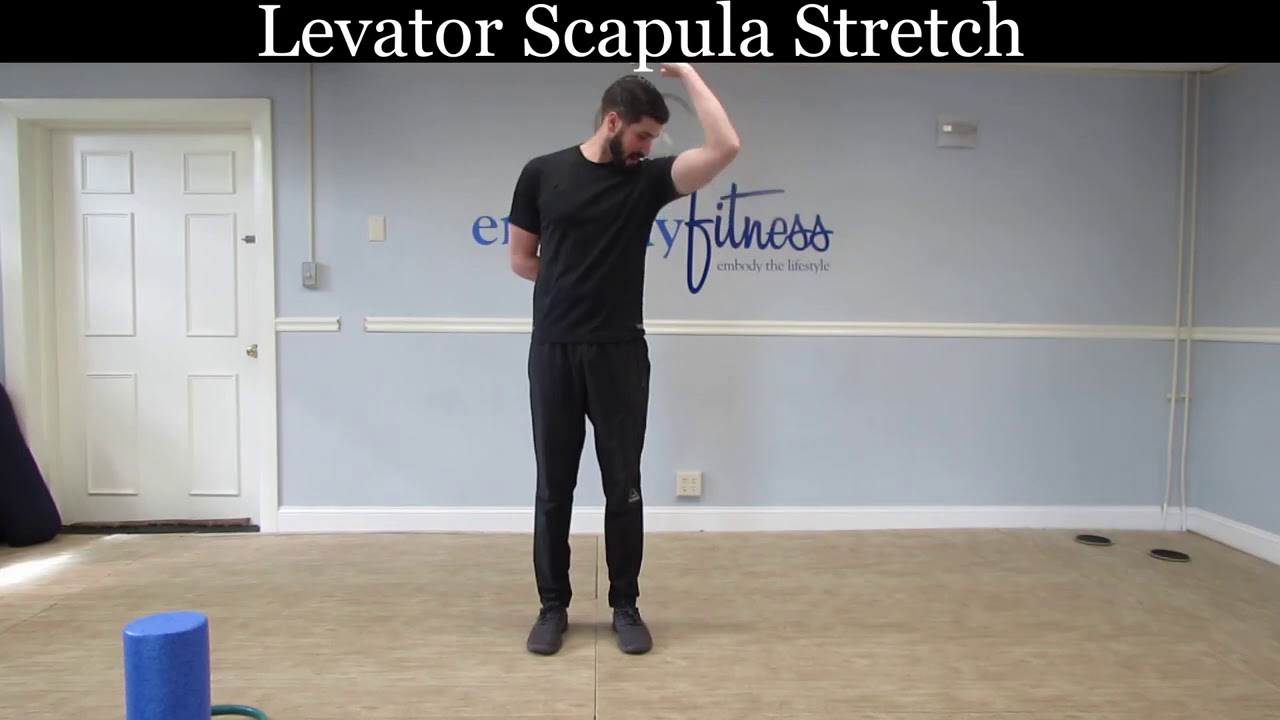 Levator Scap Stretch - YouTube